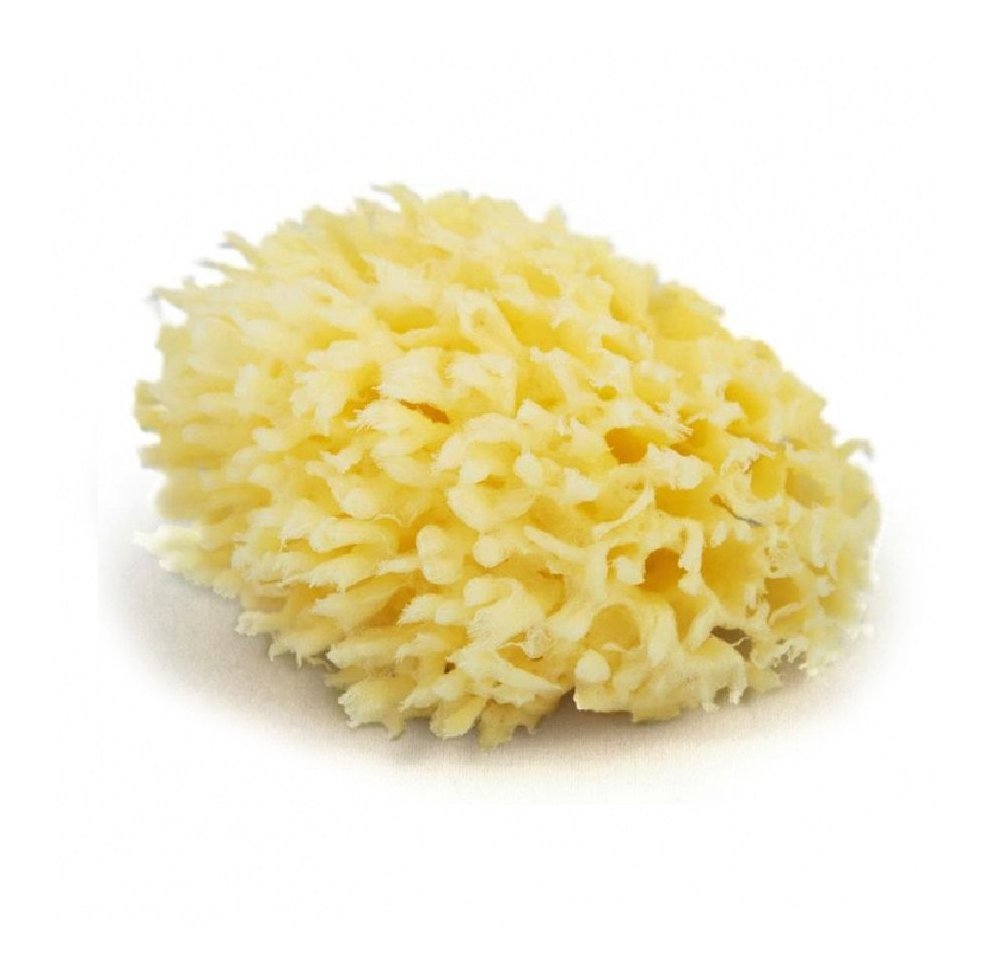 Natural Sponge Off Cuts - Bath Potters Supplies