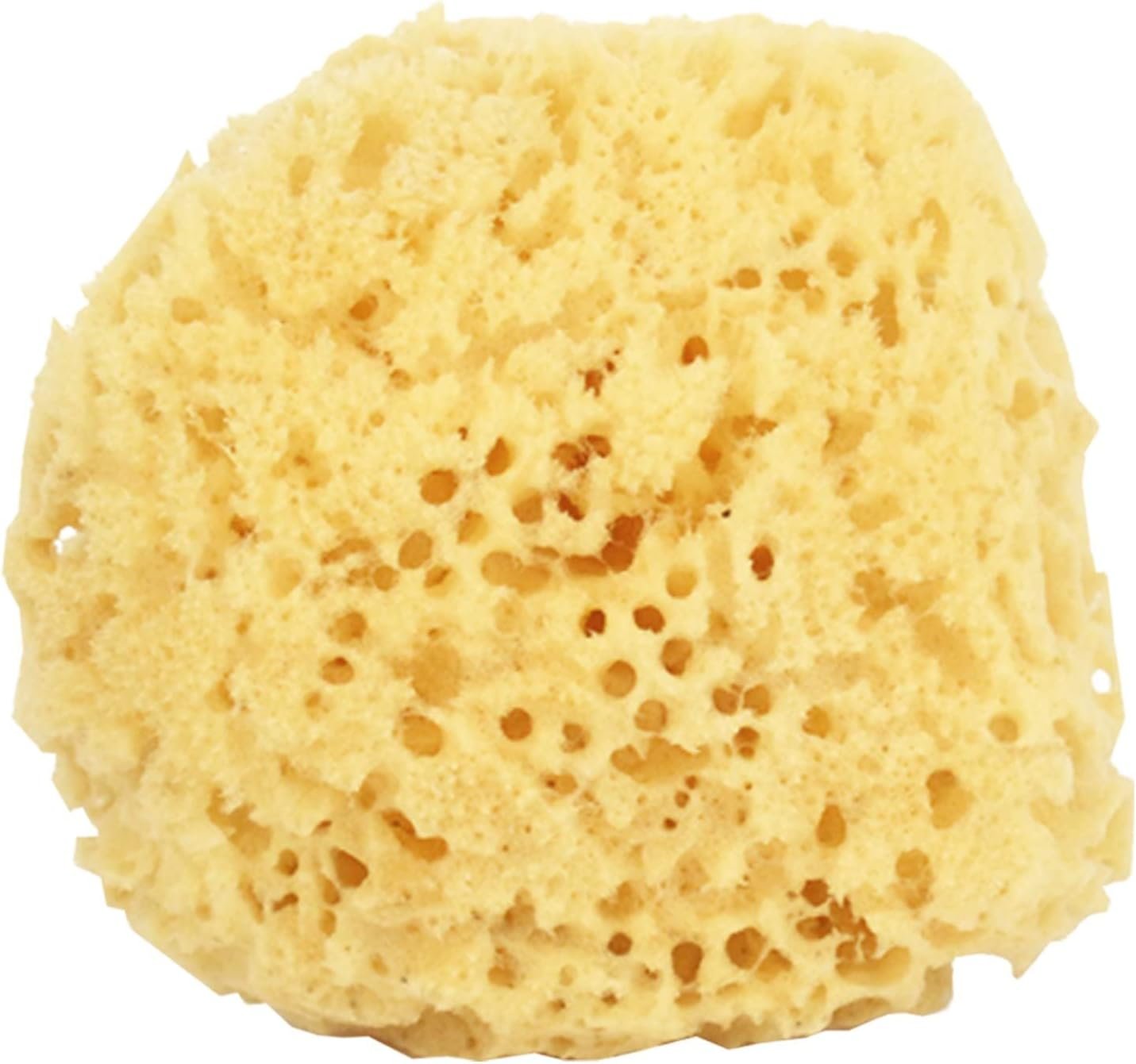Natural Sponge