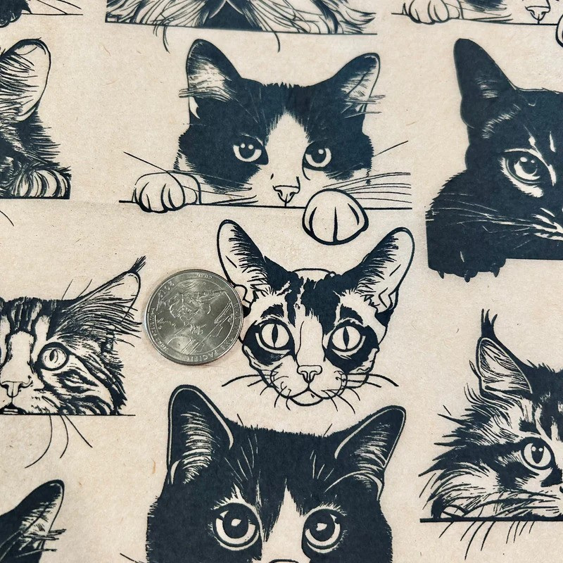 Zany Cats Underglaze Transfer Sheet - Bath Potters Supplies