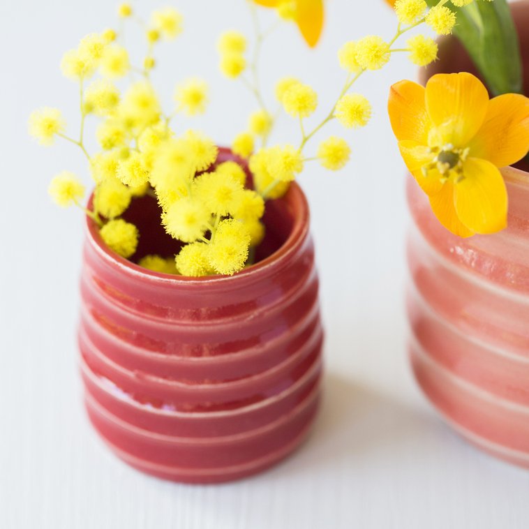 Ruby Red Botz Pro Glaze - Bath Potters Supplies